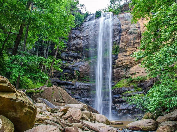 Toccoa Falls plunges in a single dramatic drop, creating one of Georgia's most spectacular and accessible natural wonders.