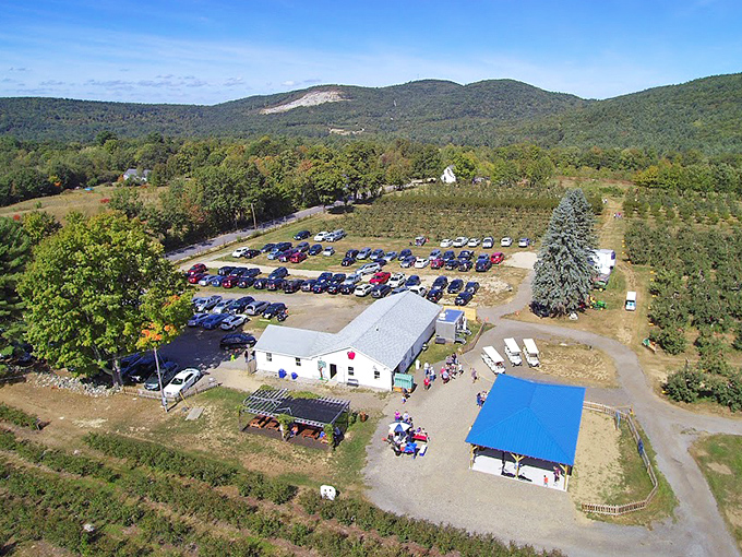 A panoramic view of Libby & Son U-Picks with mountains in the background, showing the orchard, parking area, and farm store.