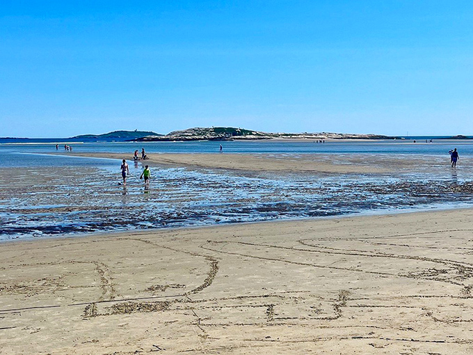 Low tide at Popham Beach reveals extensive hunting grounds where sea glass treasures hide among the sand and stones. 