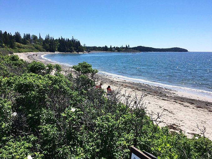 The distinctive shoreline at Roque Bluffs combines smooth stones and sand, creating a beachcomber's paradise.
