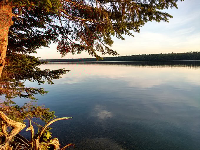 Morning mist rises from Scopan Lake's glass-like surface, creating that magical moment when Aroostook County's hidden swimming gem seems otherworldly. 