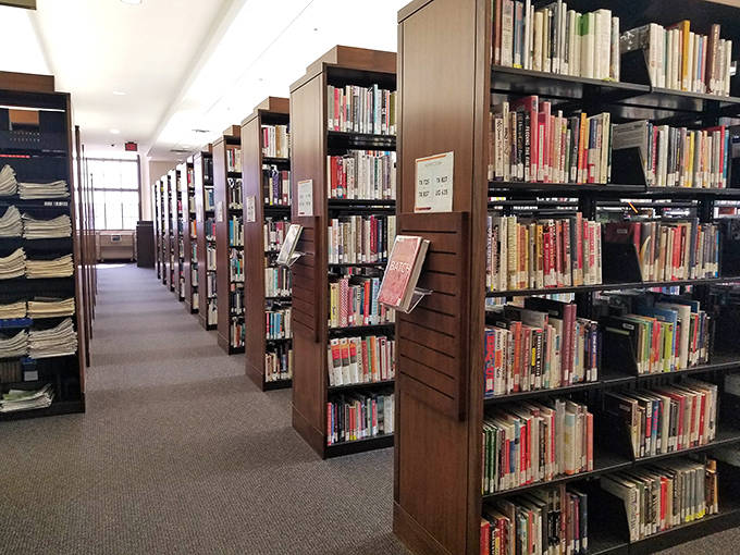 Meticulously organized shelves stretch into the distance, a bibliophile's dream where every spine represents a different world to explore.