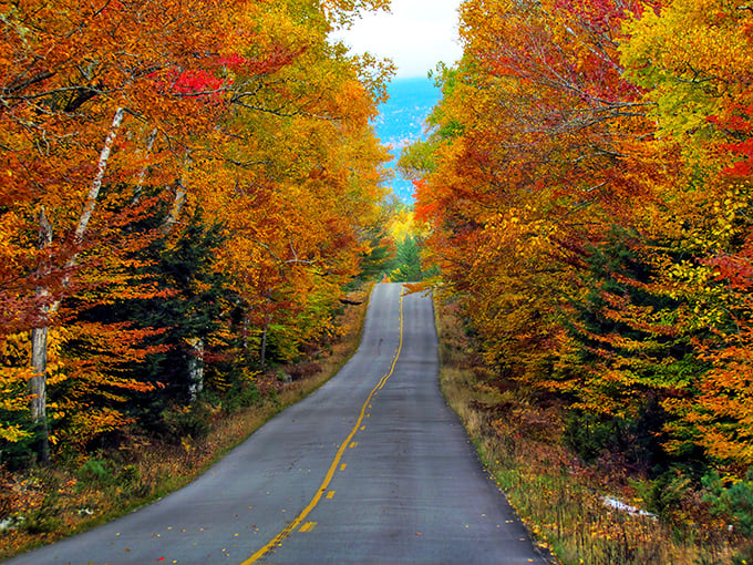 Fall in Baxter isn't just a season &ndash; it's Maine's annual masterclass in showing off nature's paint palette.