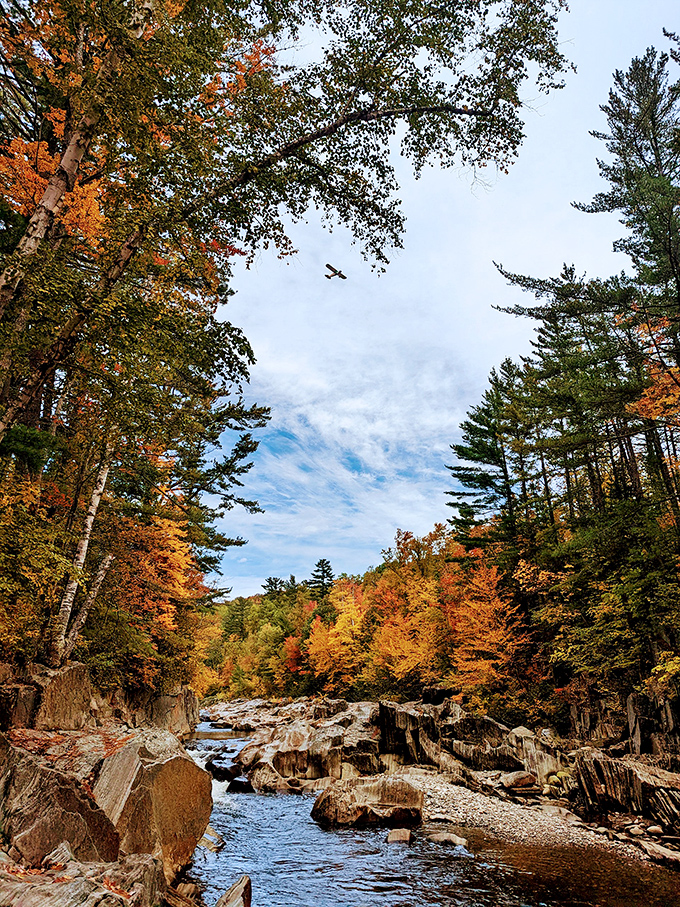 Autumn's golden hour transforms the canyon into a photographer's dream, with every angle offering calendar-worthy compositions.