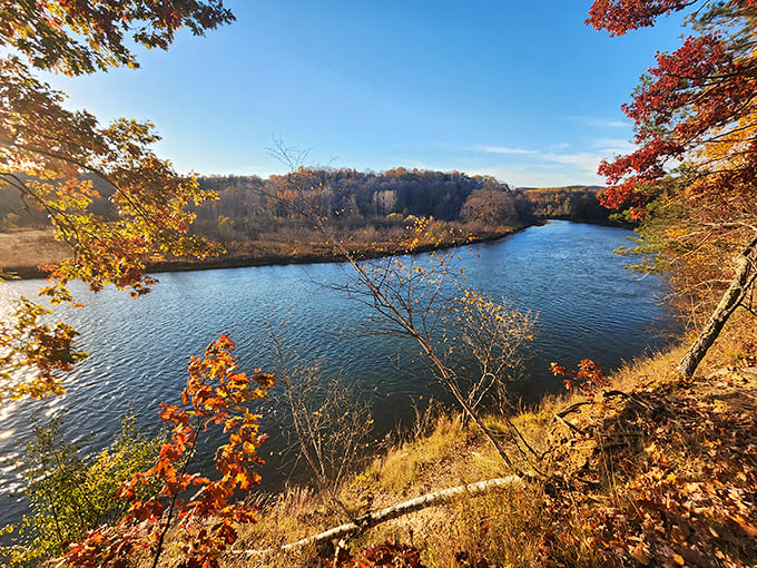 Fall's golden touch turns Michigan's landscape into a treasure chest of amber and ruby, with the river cutting through like a sapphire ribbon.