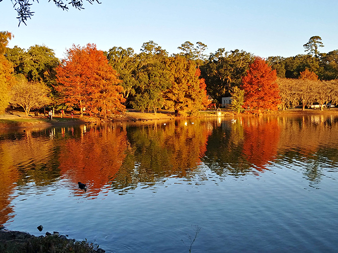 Fall foliage creates a fiery reflection on the river's surface &ndash; twice the color show for the same admission price.