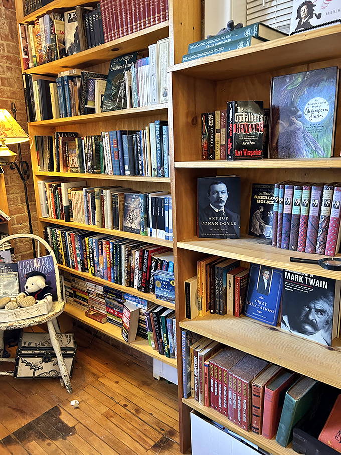 Rows of colorful spines create a rainbow of reading possibilities, each book a doorway to another world waiting to be opened.