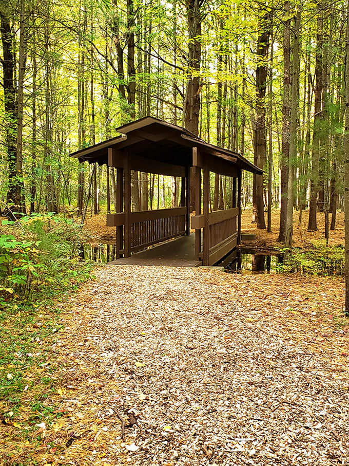 This charming covered bridge seems plucked from a storybook, inviting visitors to pause and appreciate the forest's quiet moments.