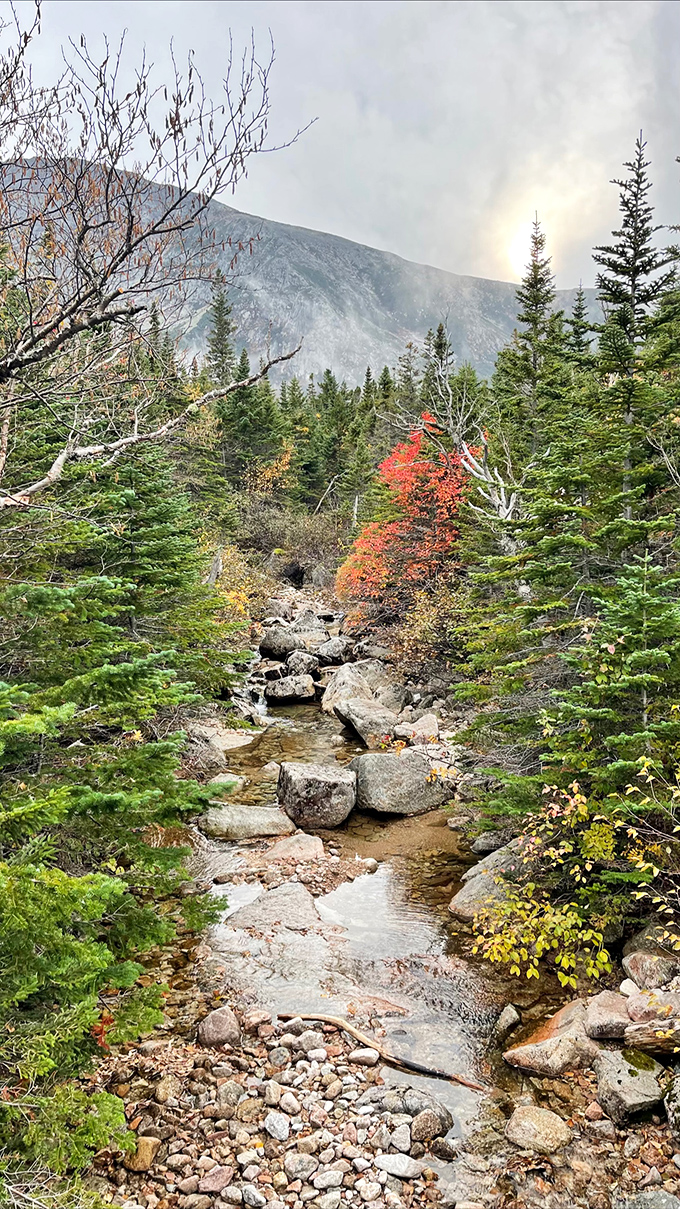 This isn't just a pretty creek&mdash;it's water following the same path it has for millennia, telling Earth's oldest stories.