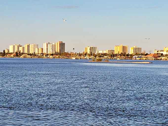 Daytona Beach offers scenic overlooks where the ocean's endless blue meets sky in a seamless, breathtaking blend.