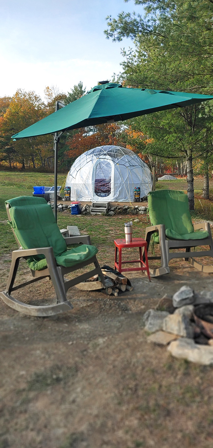 Green chairs await storytellers under a turquoise umbrella—the perfect outdoor living room for nature's neighborhood.