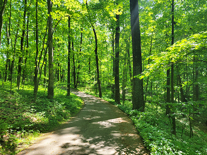 This dappled woodland trail practically begs for leisurely strolls, where every turn reveals new natural treasures and possibly a chipmunk or two.
