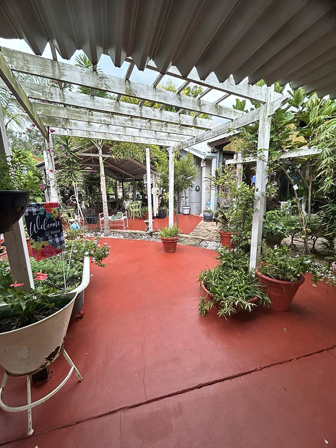 The garden pathway promises a red-carpet welcome, minus paparazzi but with significantly better flowering plants.