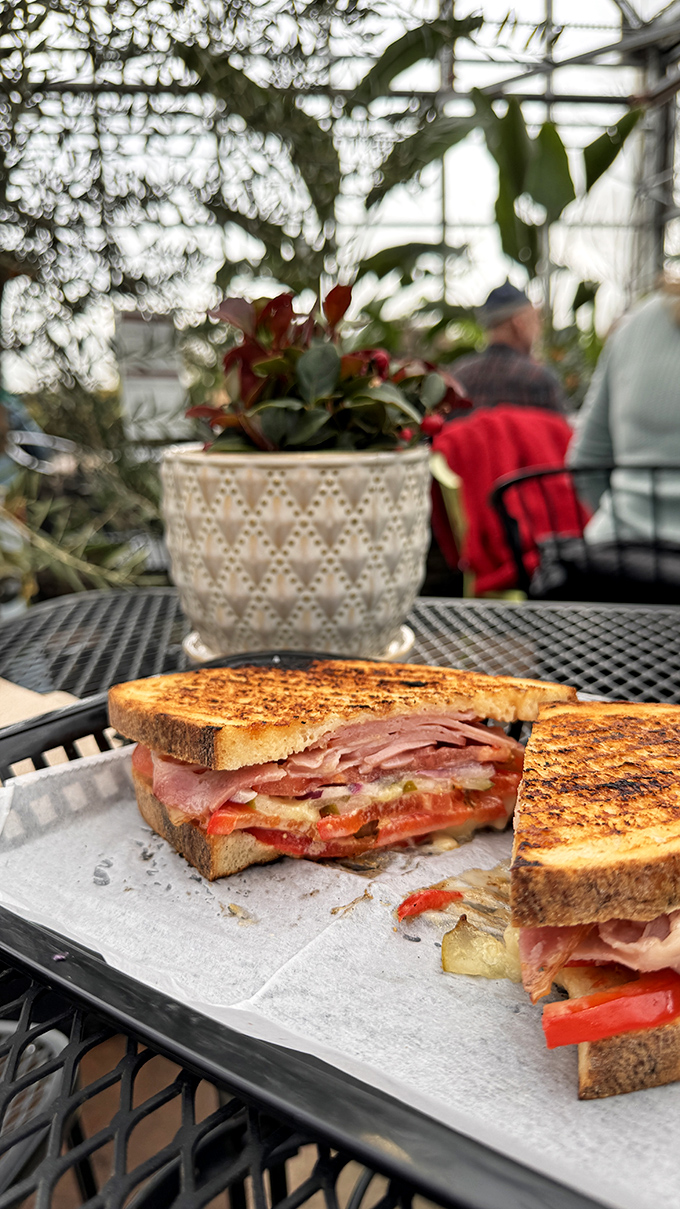 Grill marks this perfect don't happen by accident; someone here takes their panini pressing very seriously, bless them.