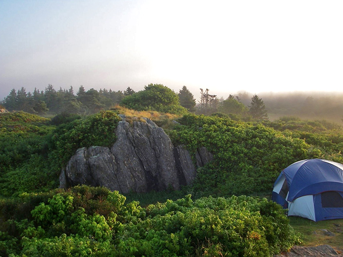 Morning mist embraces Hermit Island's rugged shore, where campers wake to nature's alarm clock of crashing waves and calling gulls.