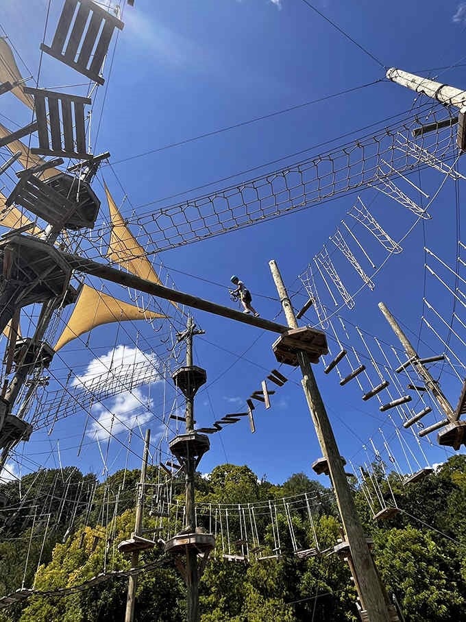 Balancing act extraordinaire &ndash; the high ropes course challenges visitors to navigate wooden obstacles while safely harnessed above the ground.
