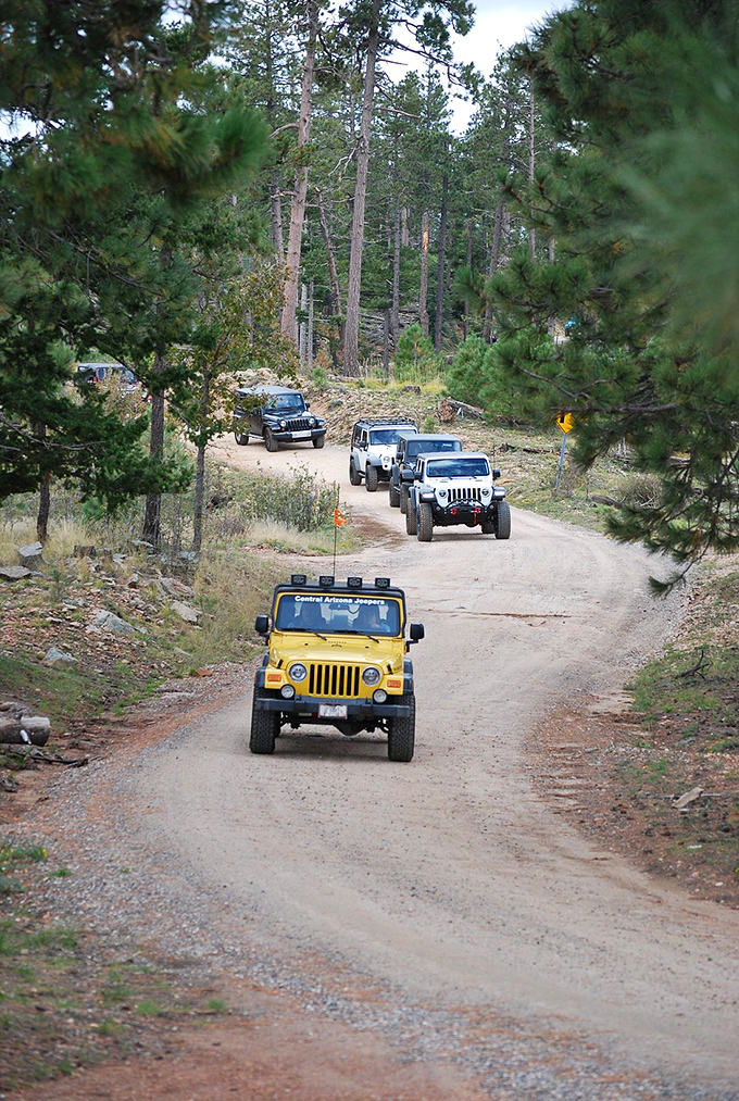 Off-road enthusiasts find paradise on the rim's network of forest roads, where adventure awaits around every pine-scented corner.