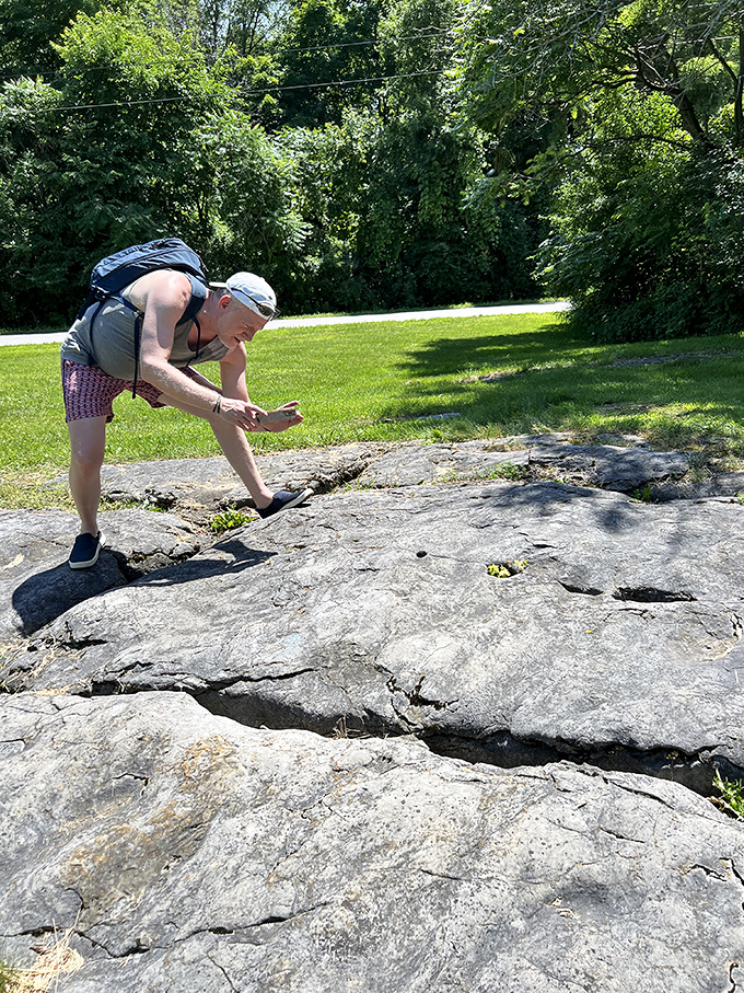 Amateur fossil hunters experience the thrill of discovery, carefully examining rock formations that predate dinosaurs by hundreds of millions of years.