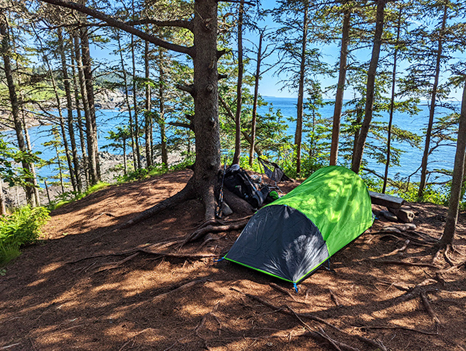 Room with a view: This tent spot offers million-dollar ocean panoramas that make fancy resorts seem pointless &ndash; nature's five-star accommodations.