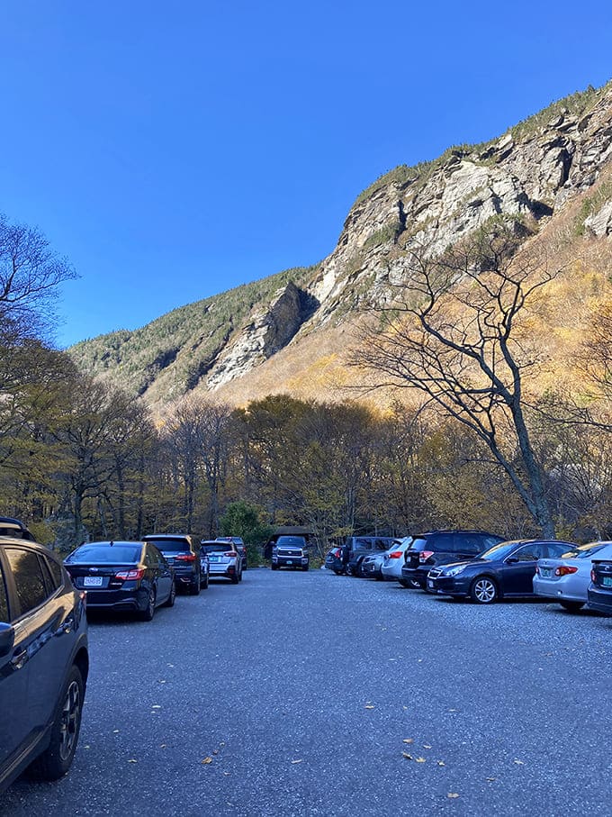 A full parking lot means you're not the only one who figured out this place is special, but there's enough trail for everyone to find their own slice of paradise.