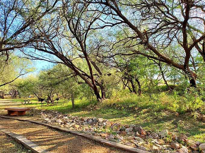 Shaded campsites offer the best of both worlds: outdoor adventure with a ceiling of leaves.