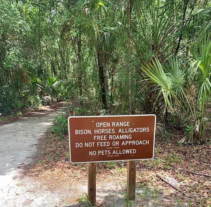 This sign isn't kidding around, folks. When nature says "free roaming," it means business, so keep your distance and your wits.