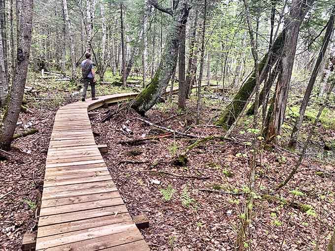 Winding paths through whispering forests offer mountain bikers and hikers views worth every drop of sweat.