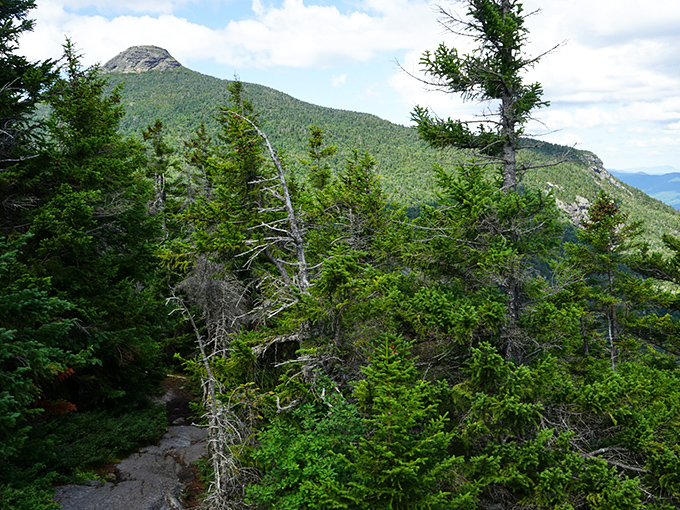 I can see my house from here! &ndash; probably not true, but the expansive views make everyone feel like they've discovered something.