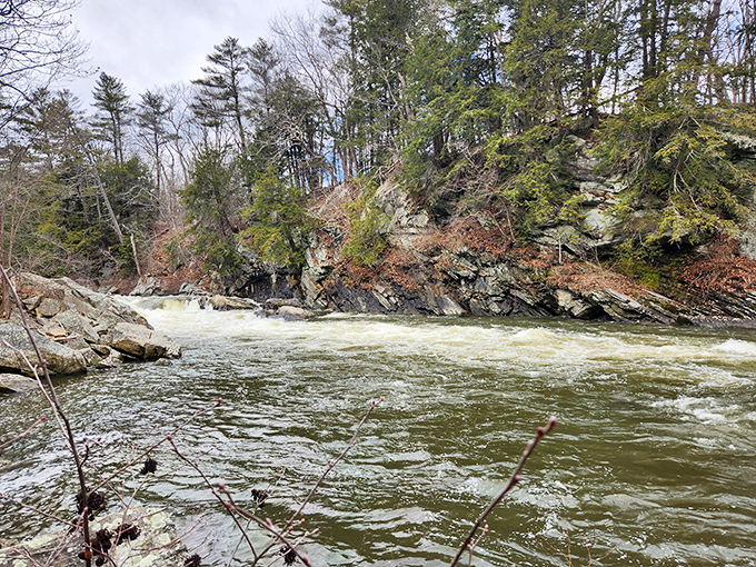 Calm waters mirror the surrounding forest, creating a perfect reflection of Maine's natural beauty.