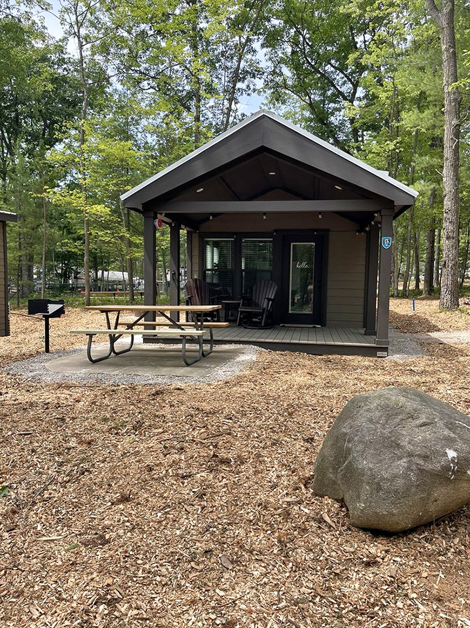 Rental cabins offer solid-walled alternatives to yurts, perfect for those who want wilderness with a side of "actual door that locks."