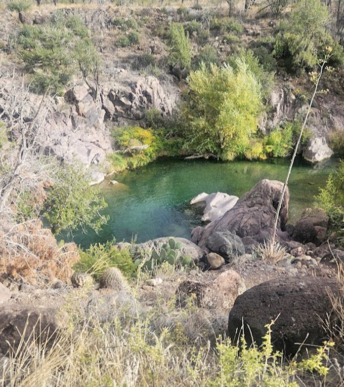 This natural pool nestled among desert rocks looks like it was designed by a landscape architect with a flair for the dramatic.