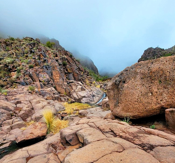 Morning mist clings to the canyon, transforming the harsh desert landscape into something eerily beautiful and unexpectedly soft.