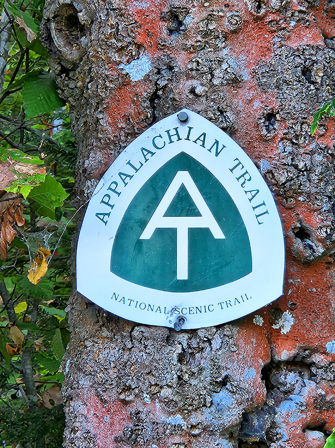 The iconic Appalachian Trail marker &ndash; proof you're walking the same path as thousands of adventurers with much heavier backpacks.