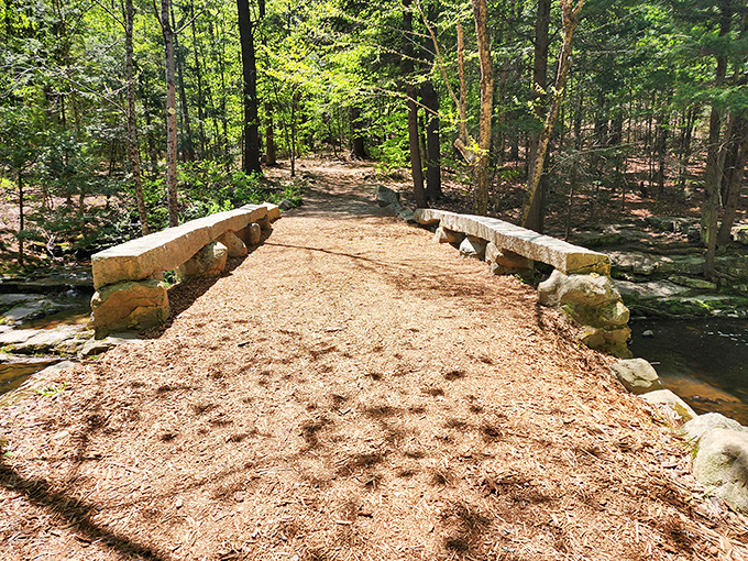 This isn't engineering; it's poetry in stone that's weathered decades of Maine winters while maintaining its graceful, impossible curve.
