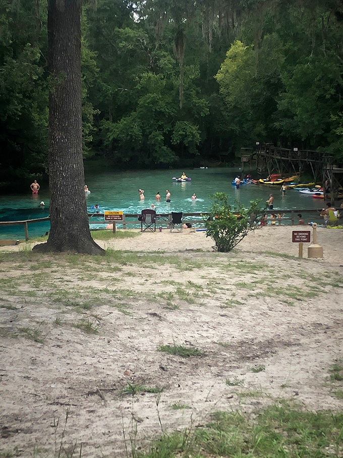 Summer's heat draws swimmers seeking liquid relief, creating a community of water-lovers united by that first refreshing plunge.