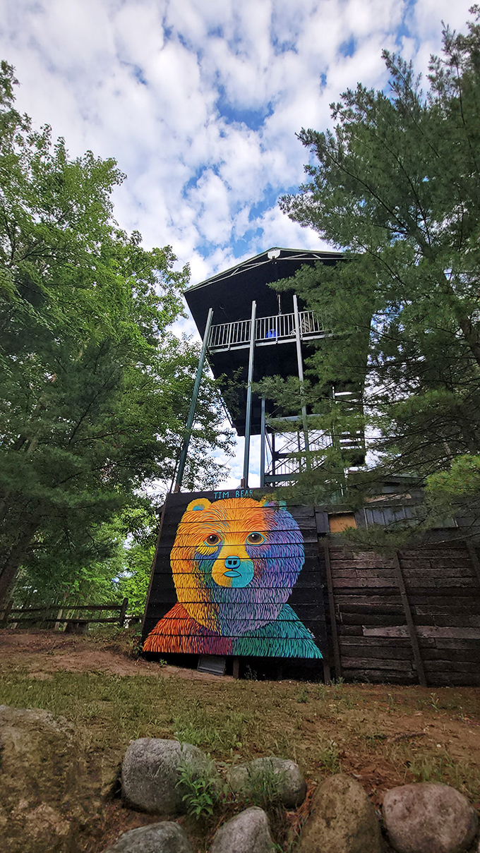 Climb above the forest canopy for breathtaking views, with a colorful bear mural adding whimsical charm to this towering lookout.