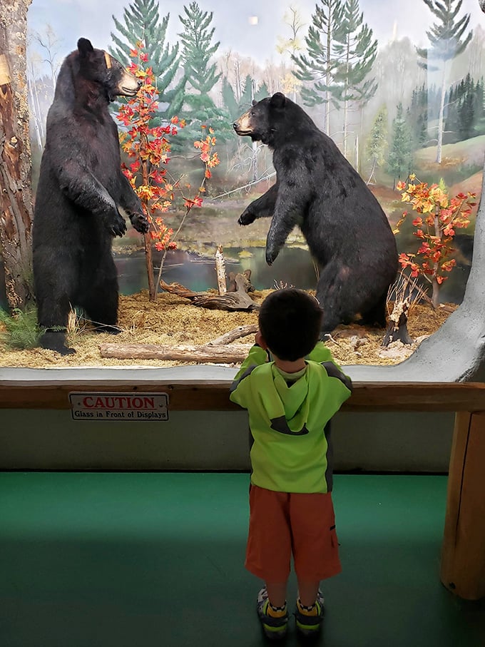 Two black bears appear caught mid-conversation &ndash; perhaps discussing the finer points of berry selection or the proper technique for raiding picnic baskets.