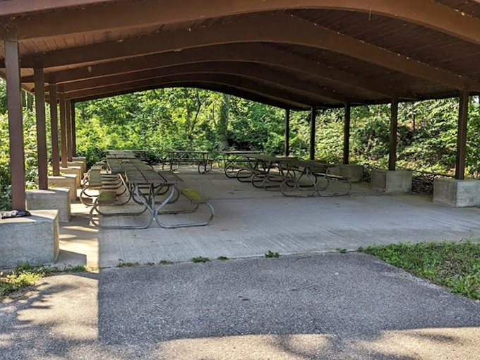 The picnic shelter stands ready for family gatherings, offering shade and tables for those post-swim sandwiches that somehow taste better here.