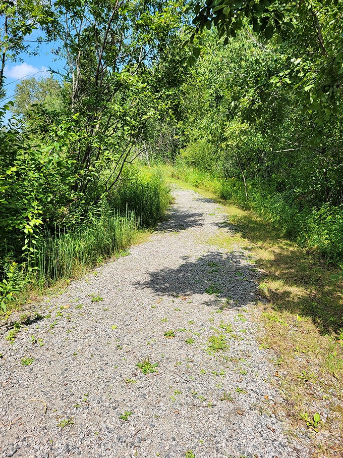 A winding path disappears into the greenery, tempting hikers to discover what lies around the next bend.