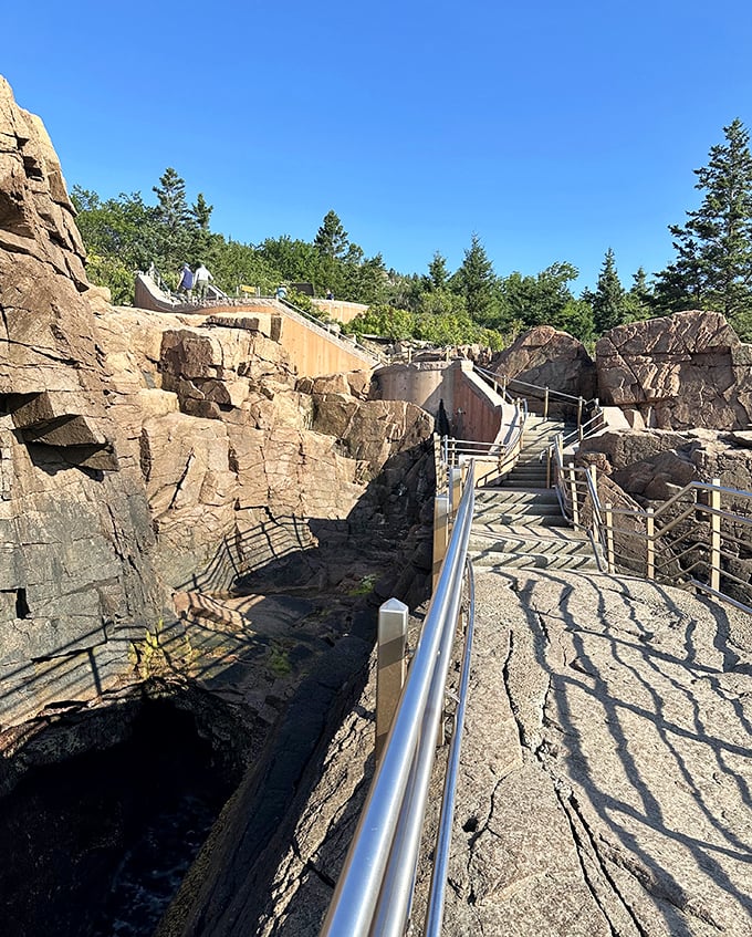 The viewing area offers front-row seats to Earth's longest-running show &ndash; no ticket required, just a willingness to potentially get soaked.