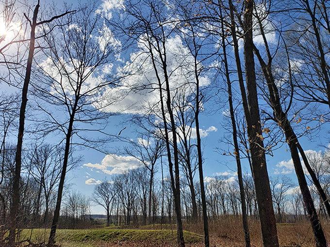 Winter strips the landscape to its essential architecture, revealing the subtle contours of the land that ancient peoples once shaped into meaningful forms.