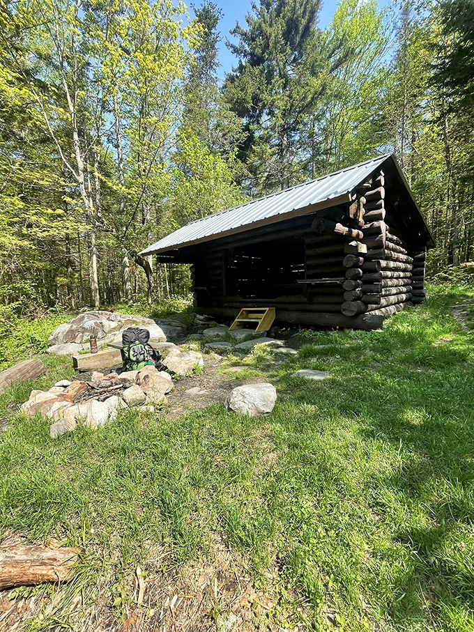 The forest's rustic shelter offers primitive luxury&mdash;three walls, a roof, and front-row seats to nature's greatest show.