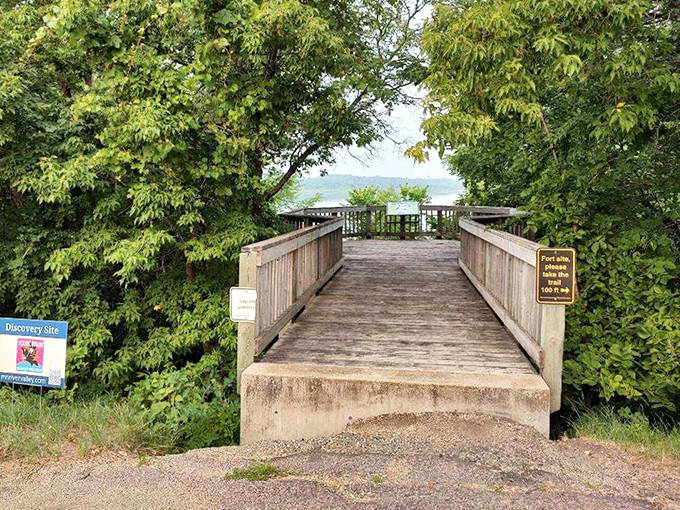 Wooden boardwalks: Minnesota's version of the yellow brick road, leading to views that make even smartphone cameras feel inadequate.