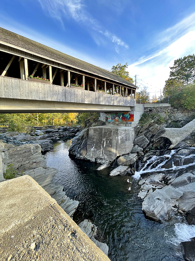 The bridge frames a perfect view of the gorge below, where water has carved its patient path through resistant stone.