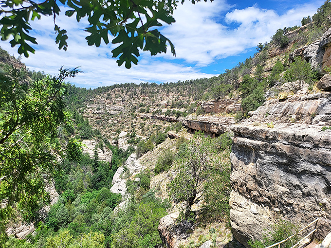 Desert meets forest in this unique ecological transition zone that provided diverse resources for the canyon's ancient inhabitants.
