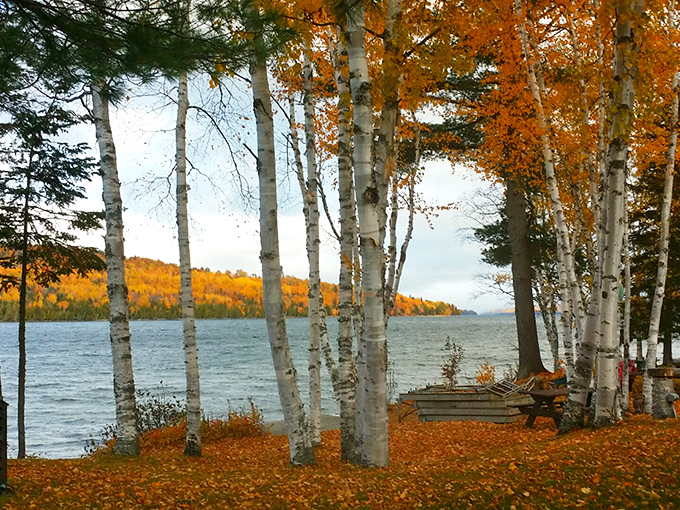 Mother Nature's annual fashion show where trees dress in their finest oranges before winter's long pajama party.