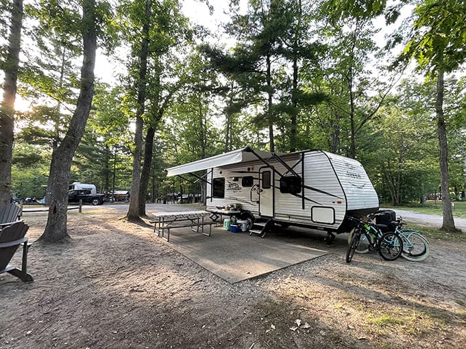 Modern campers parked among the pines represent the best of both worlds: your home on wheels in nature's living room.