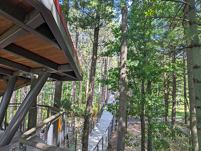 Meandering through the trees like nature's own hallway, this path invites exploration with every wooden plank.