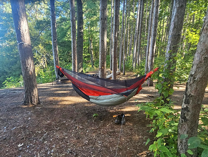 Hammock camping done right &ndash; suspended between trees with nothing but forest sounds and fresh air as your lullaby.