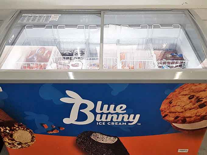 The Blue Bunny freezer promises sweet relief after a savory meal &ndash; a rainbow of ice cream treats waiting to transport you back to childhood with one lick.